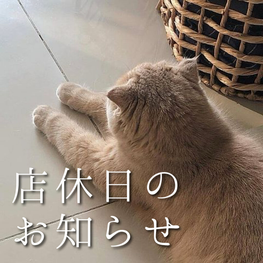 groomingsalon NICO-STANDARD